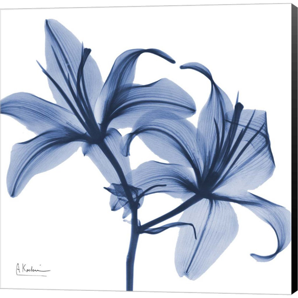 Winston Porter Indigo Infused Lily by Albert Koetsier - Wrapped Canvas Print | Wayfair